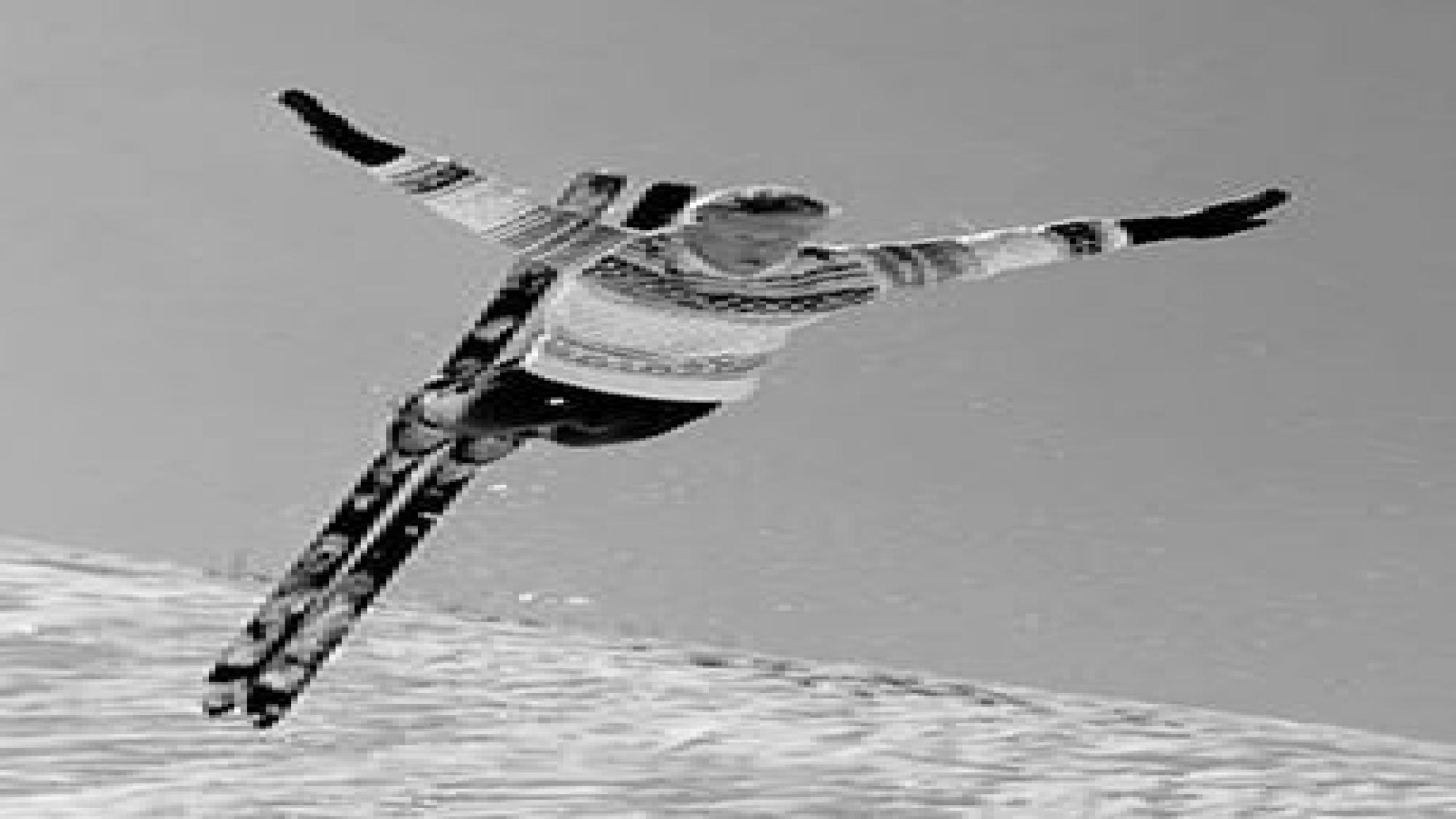 Remembering Corkey Fowler, Howard Peterson, Bob Lazier, Herman Dupre ...