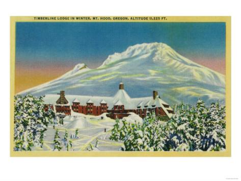 A Short History of Alpine Skiing: From Telemark to Today | Skiing History